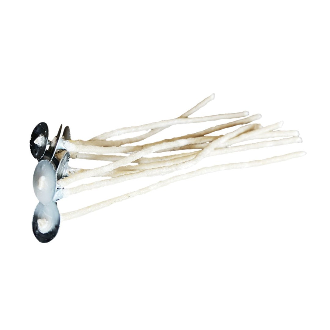 Candle Wicks – Page 2 – Candle and Craft Bar